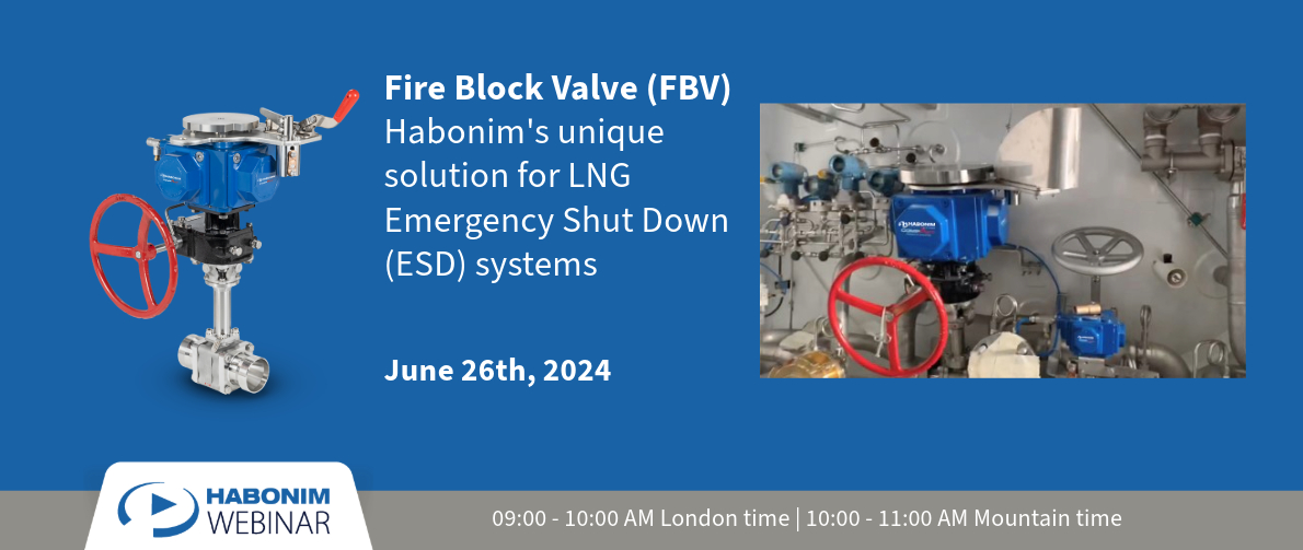 Habonim Valve Solutions: Valves & Valves Automation