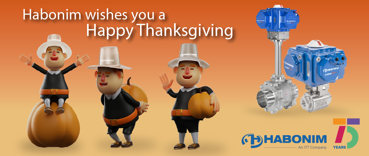 Habonim Valve Solutions: Valves & Valves Automation