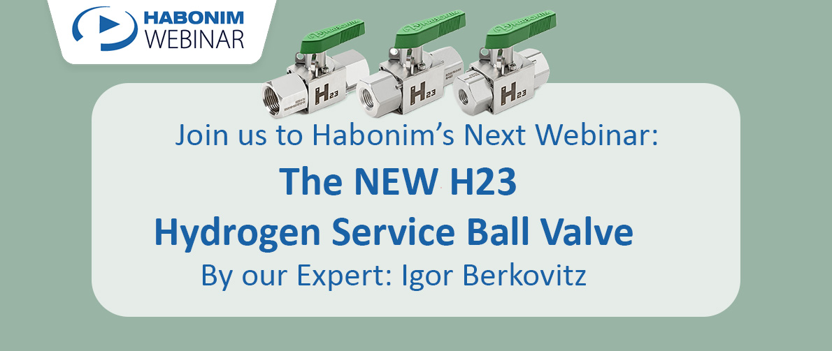 Habonim Valve Solutions: Valves & Valves Automation